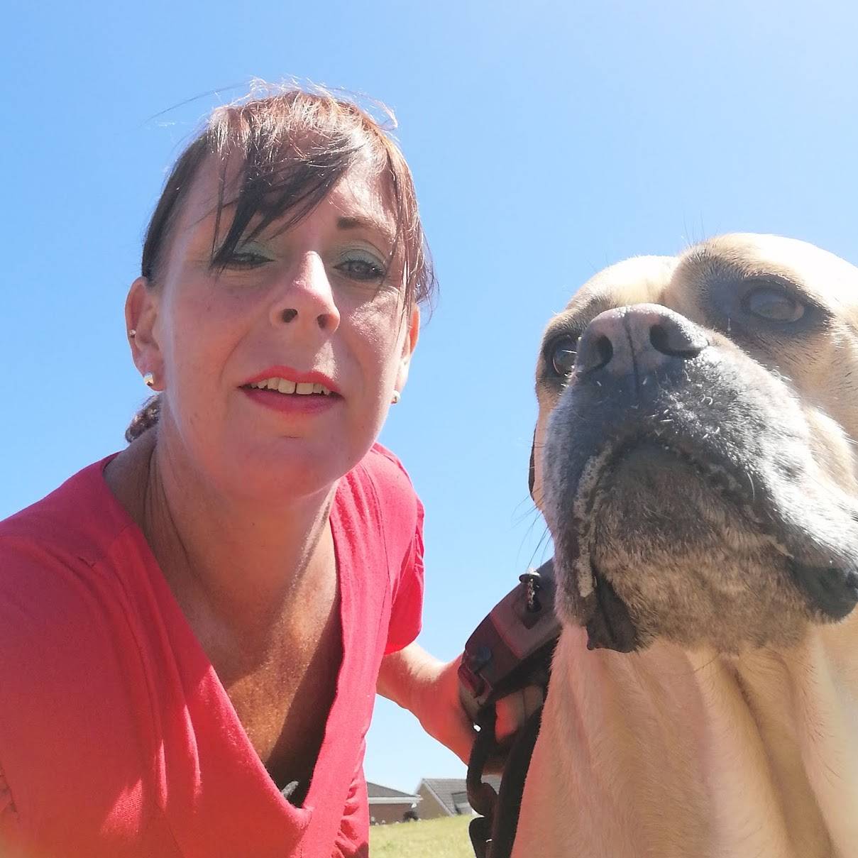 Waggly Walks – A professional, fully insured dog walking service ...